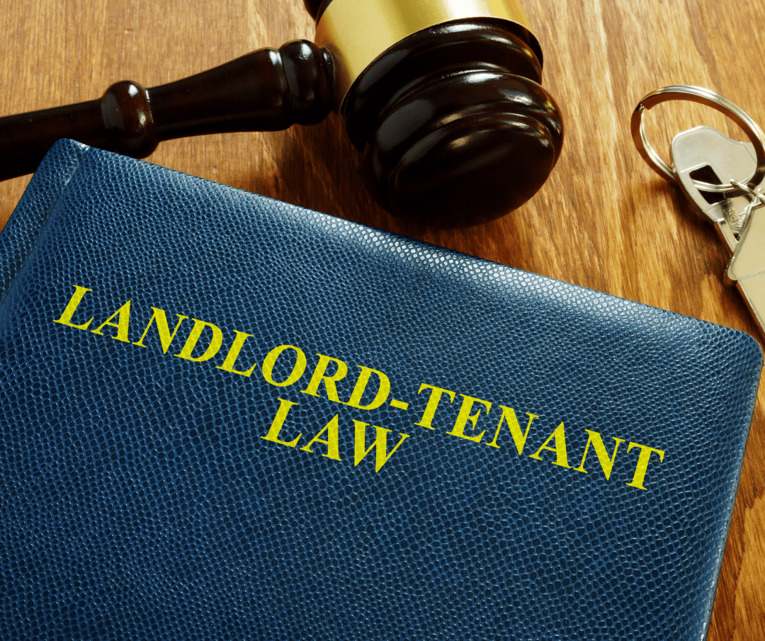 When should I take my landlord to the Tenancy Tribunal? | Rental News